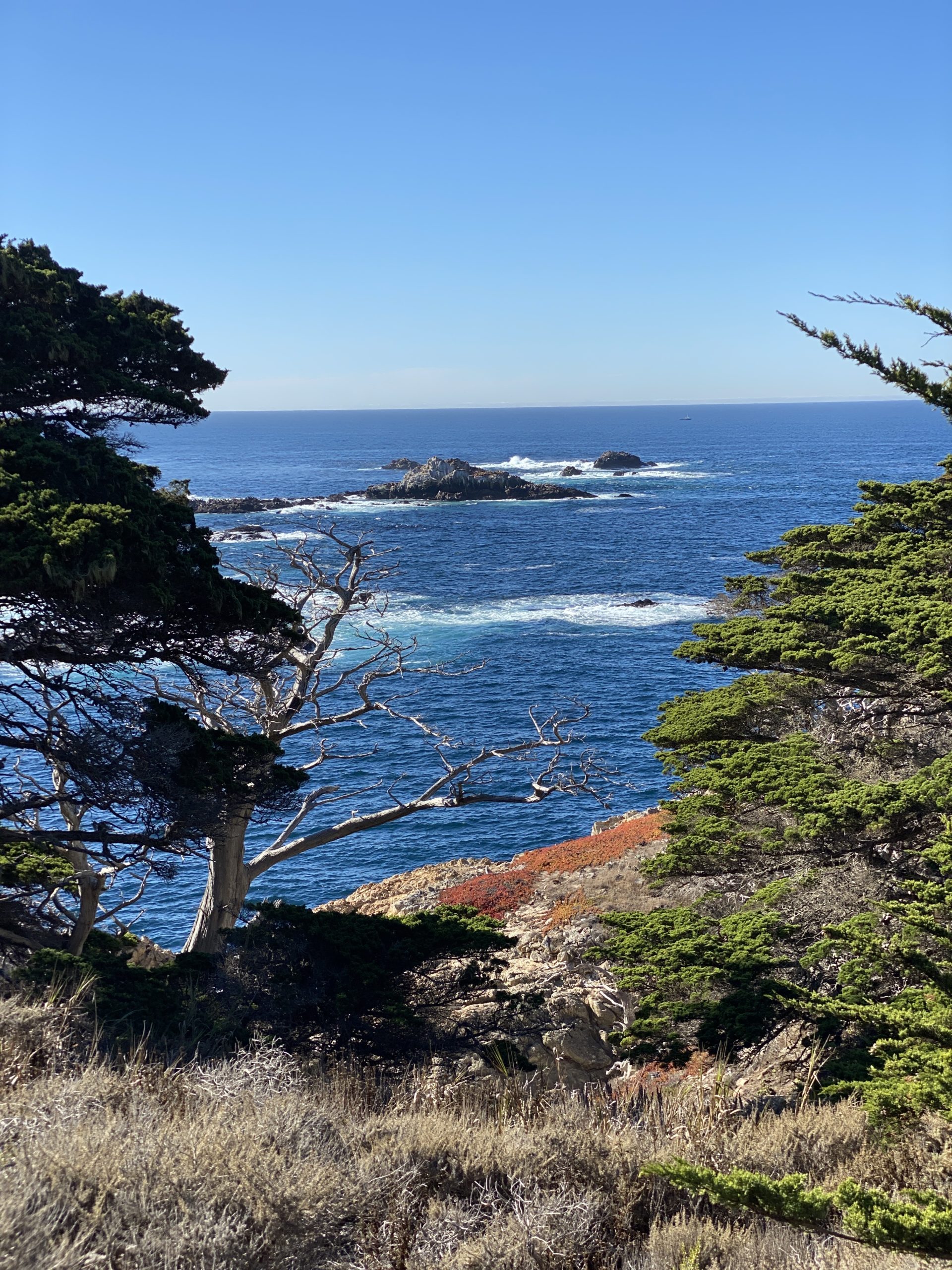 Point Lobos Loop Trail: California's Natural Treasure - duoveo