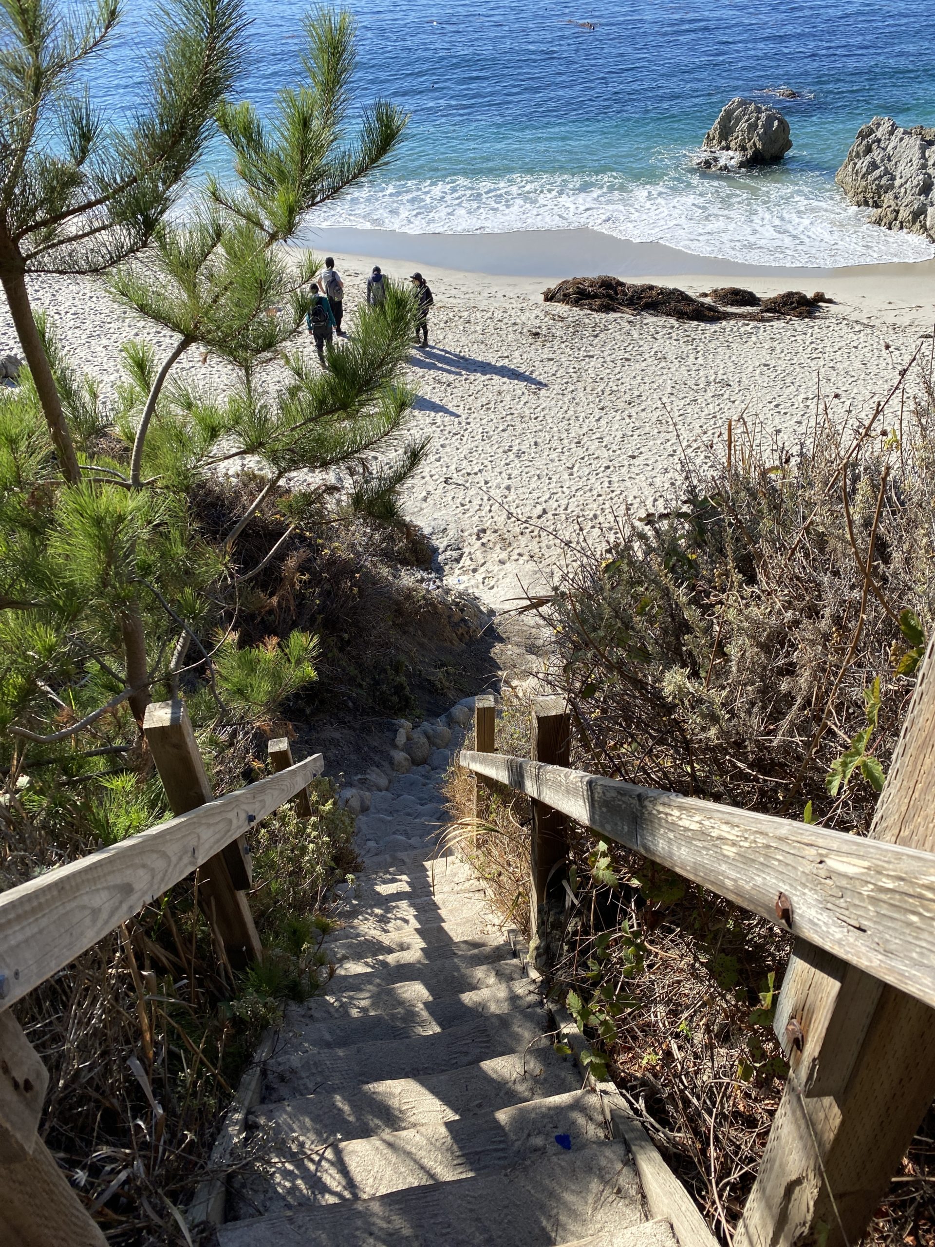 Point Lobos Loop Trail: California's Natural Treasure - duoveo