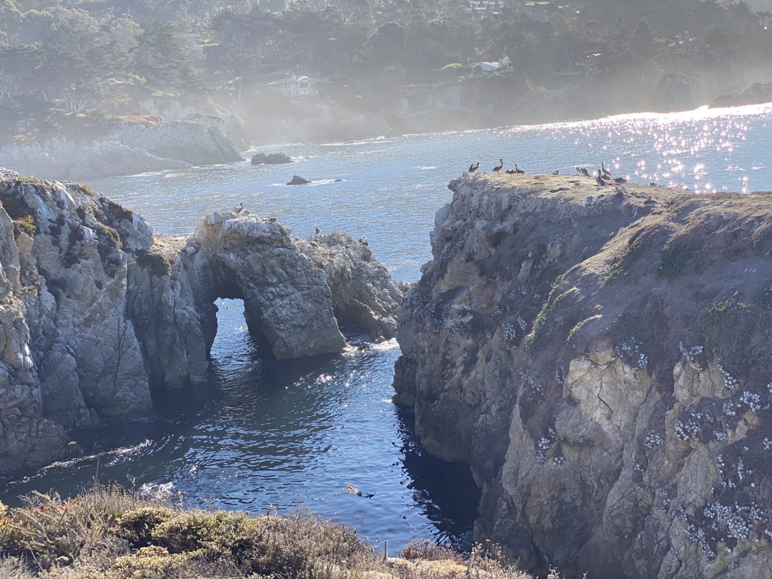 Point Lobos Loop Trail: California's Natural Treasure - duoveo