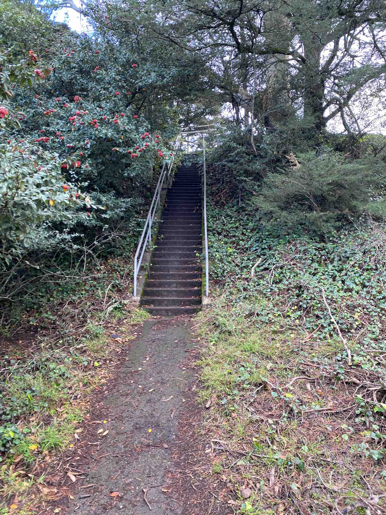 Sausalito Walk: The Sausalito Stairs - duoveo hidden walking trail