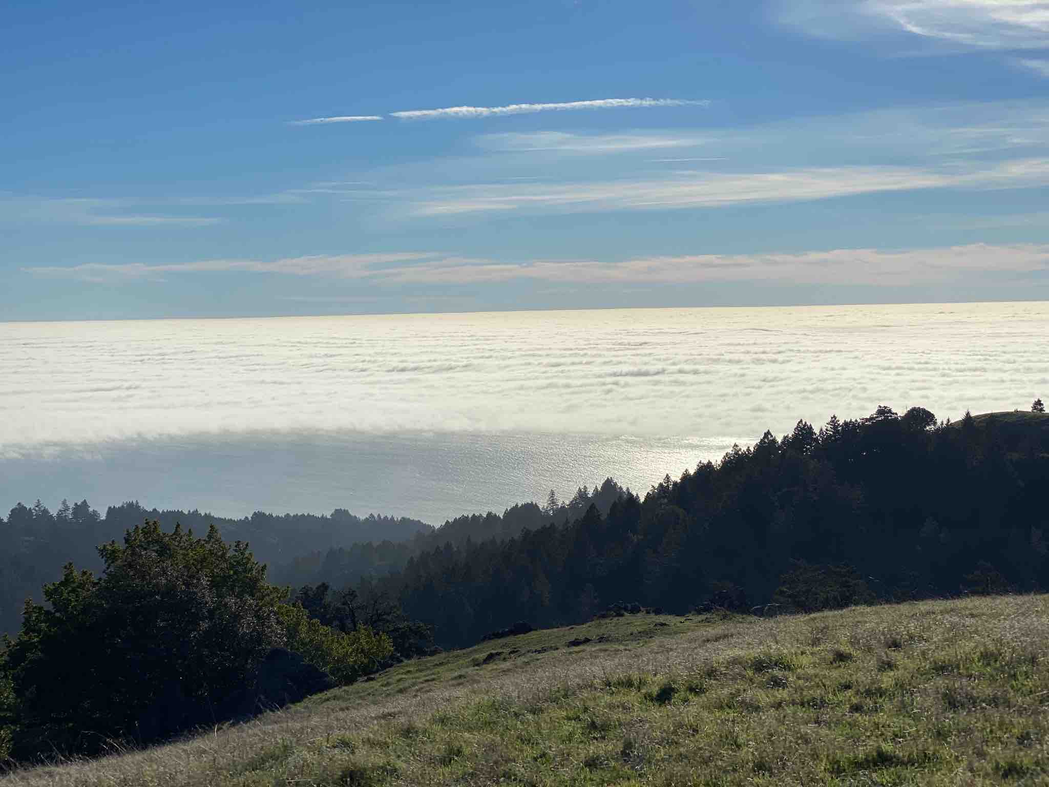 Mount Tamalpais: A breathtaking hiking in California - duoveo