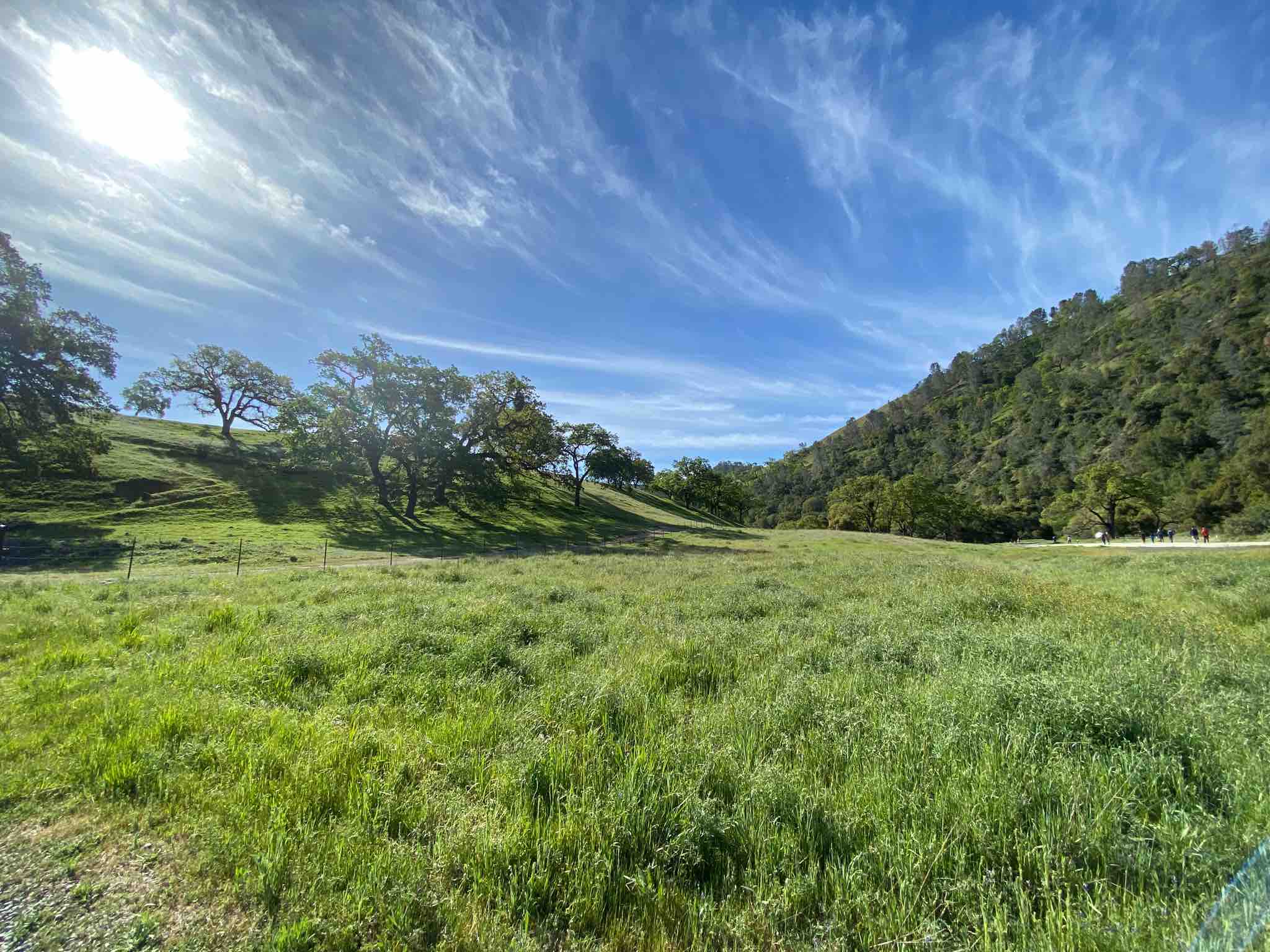 Sunol Regional Wilderness Park - duoveo - Spring trail