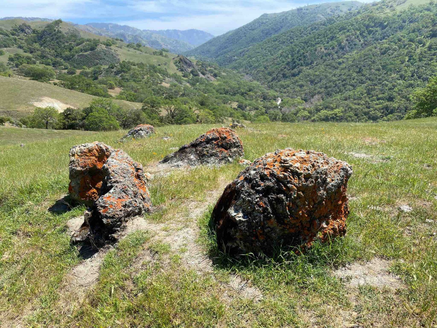 Sunol Regional Wilderness Park - duoveo - Spring trail