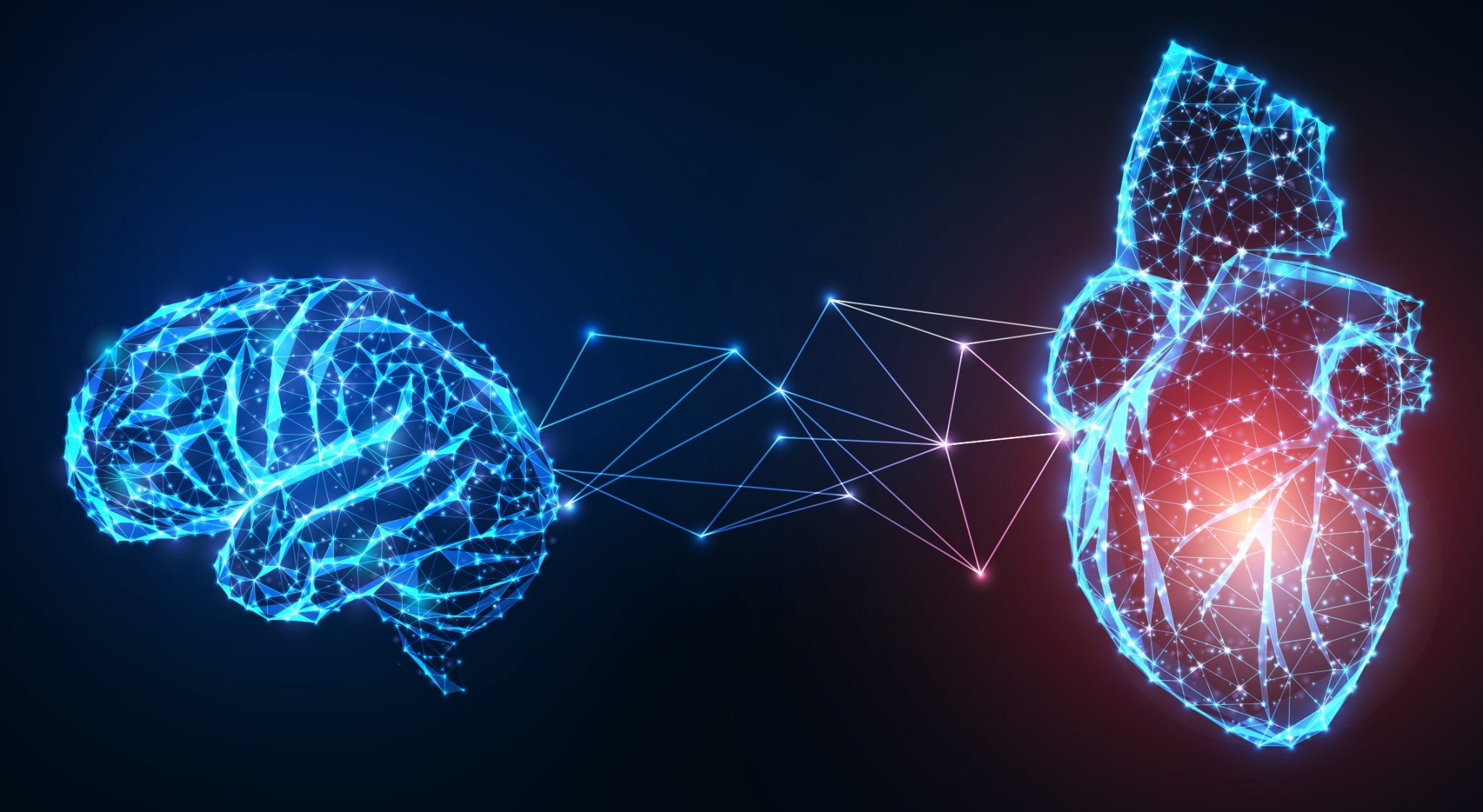 Cardiac coherence: the magic wand of physical and mental balance - duoveo