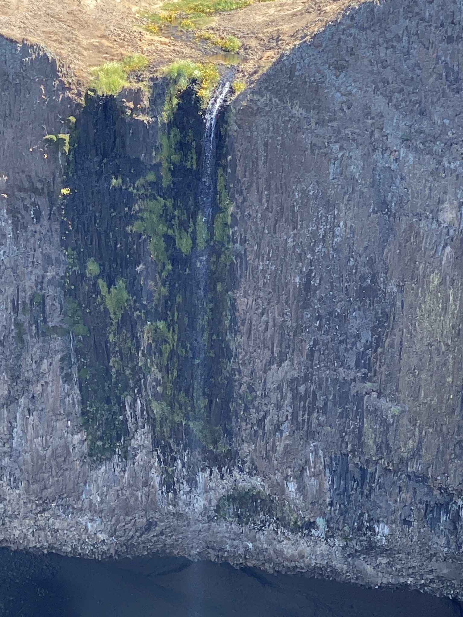 North Table Mountain Ecological Reserve: Wildflowers, Waterfalls ...