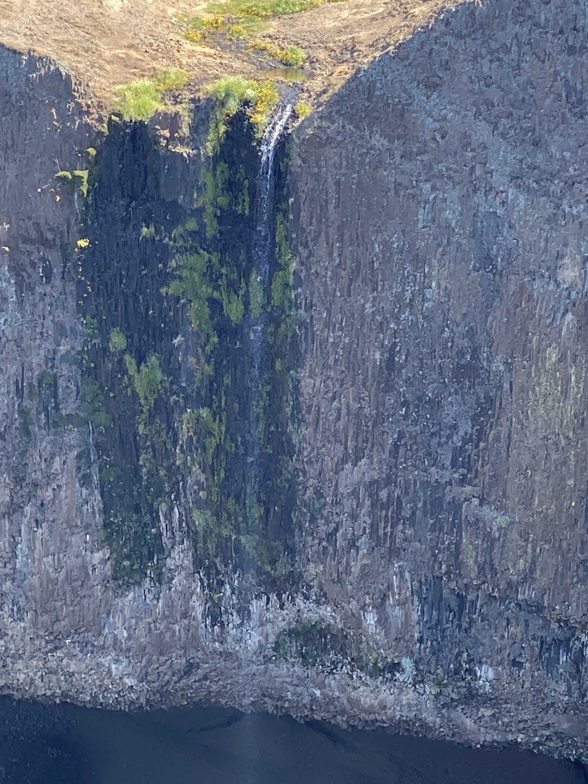 North Table Mountain Ecological Reserve: Wildflowers, Waterfalls ...