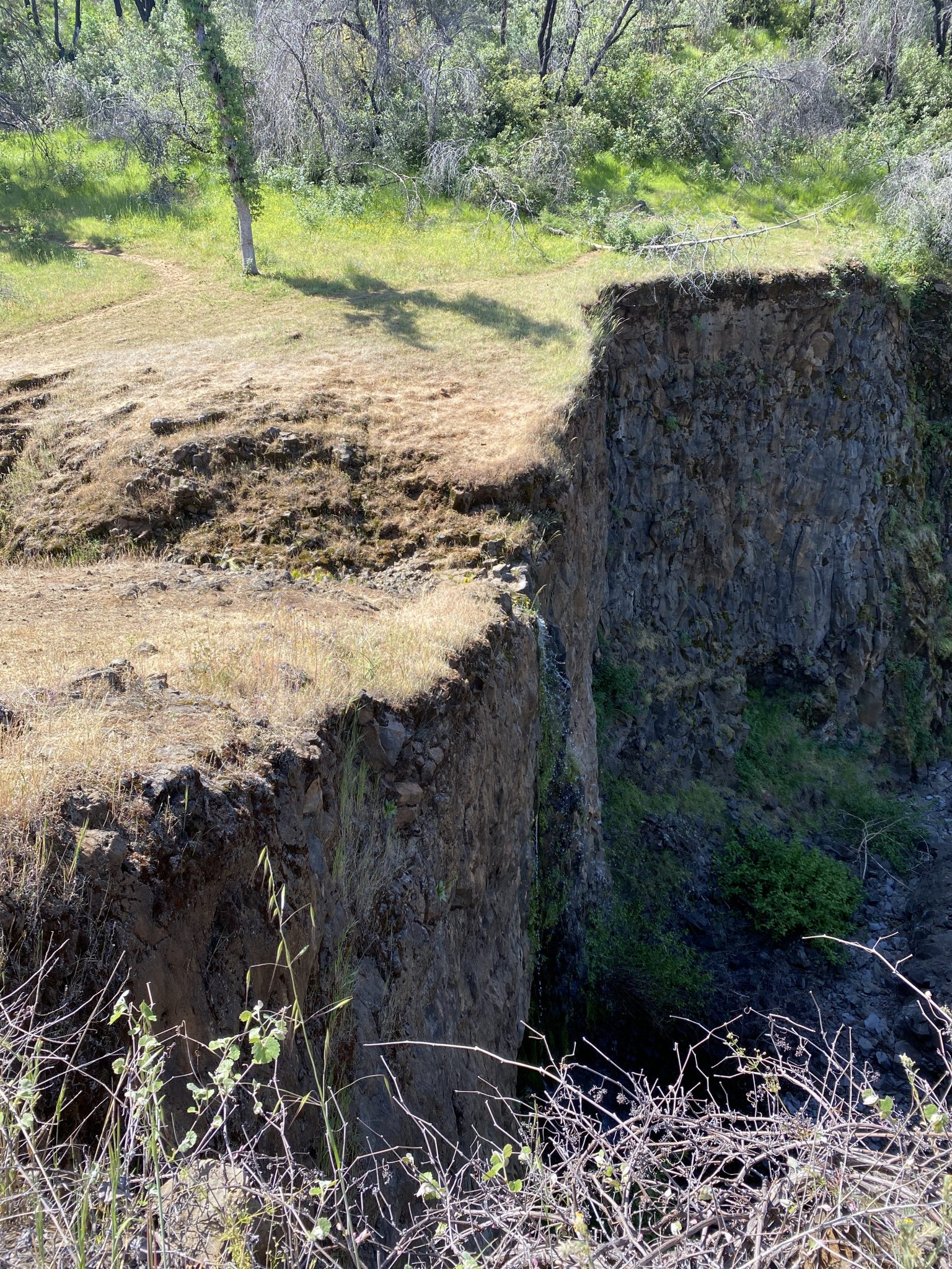 North Table Mountain Ecological Reserve: Wildflowers, Waterfalls ...