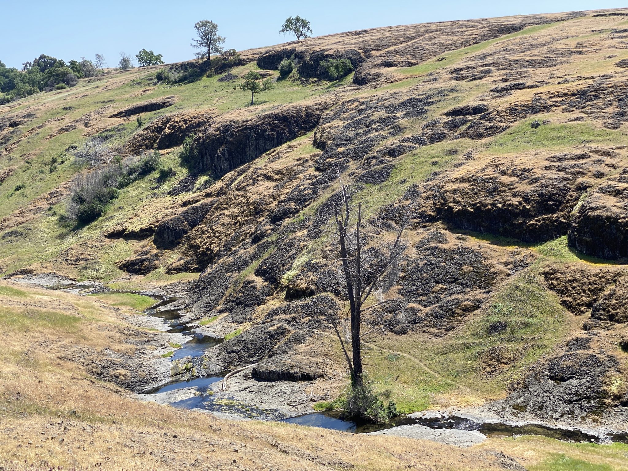 North Table Mountain Ecological Reserve: Wildflowers, Waterfalls ...