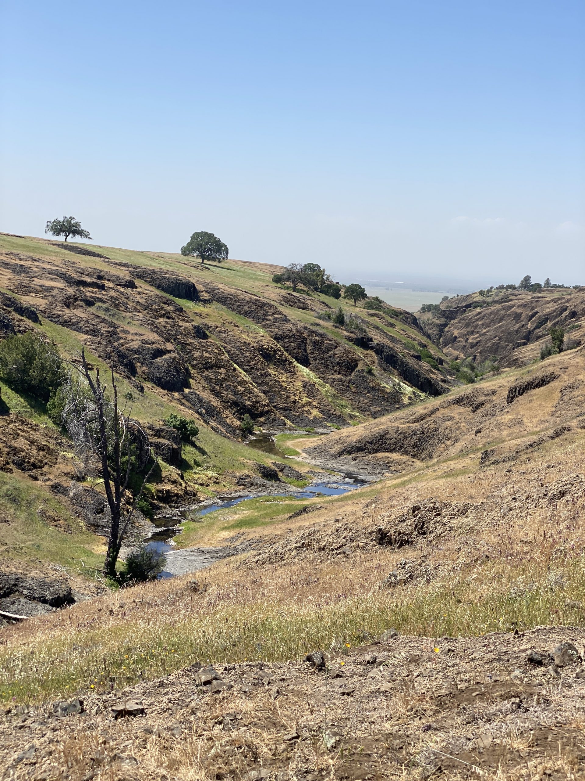 North Table Mountain Ecological Reserve: Wildflowers, Waterfalls ...
