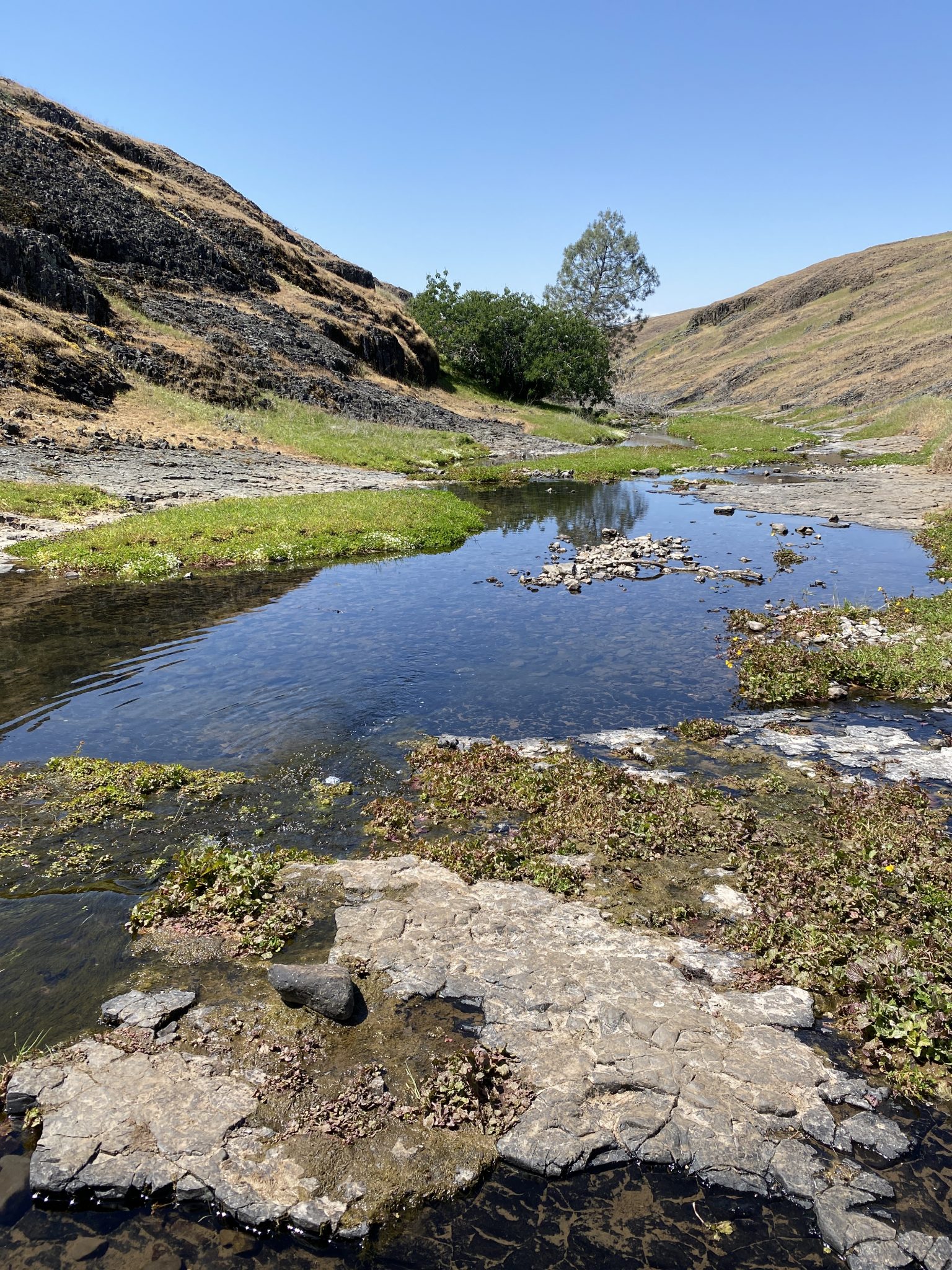 North Table Mountain Ecological Reserve: Wildflowers, Waterfalls ...