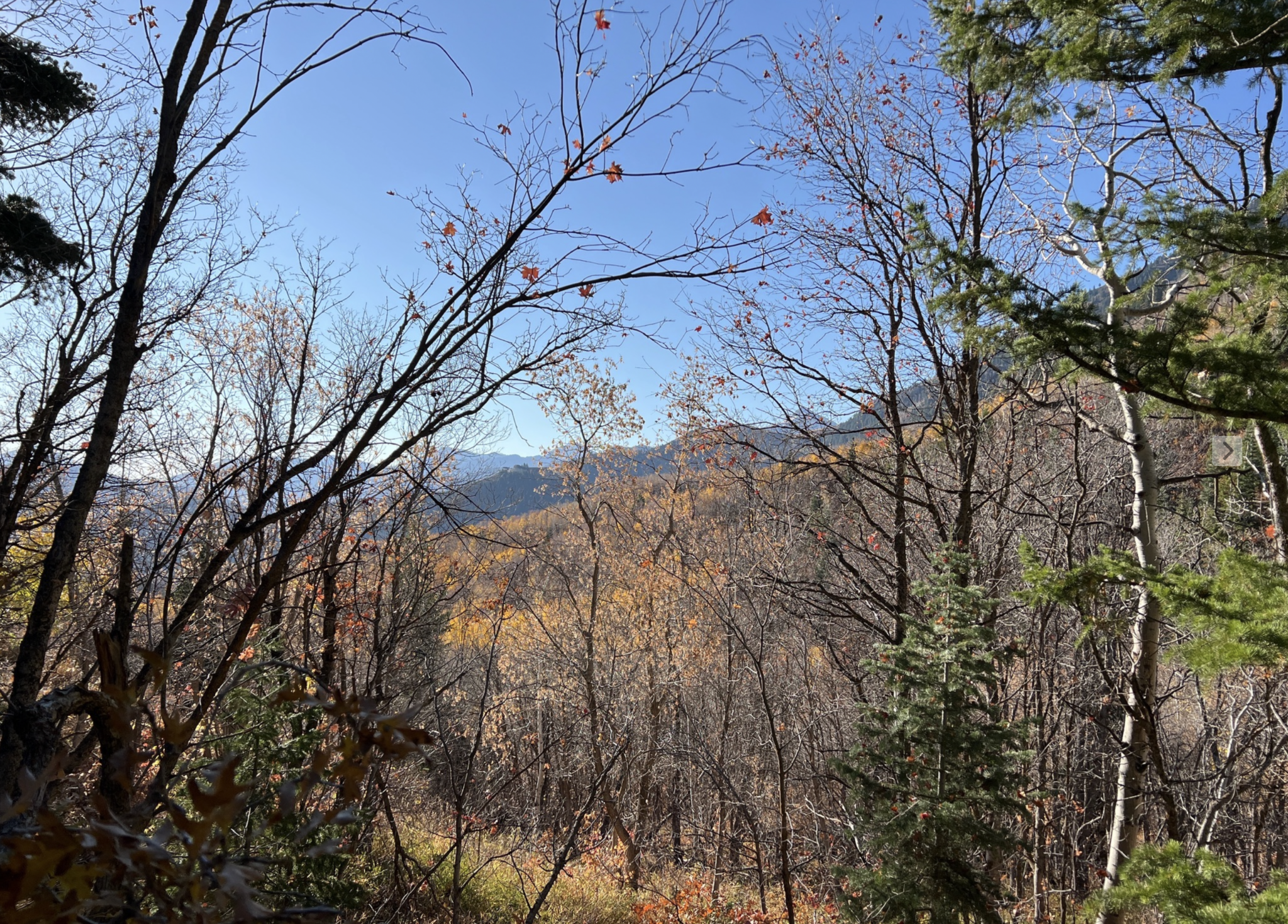 The Beautiful Stewart Falls Hike at Sundance Utah - duoveo
